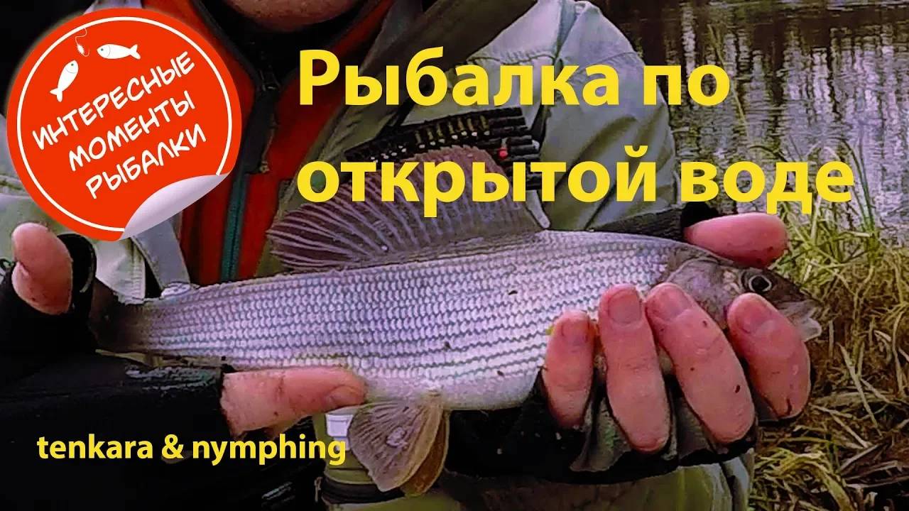 Рыбалка по открытой воде. Tenkara & nymphing. Ловлю на нимфу с берега.