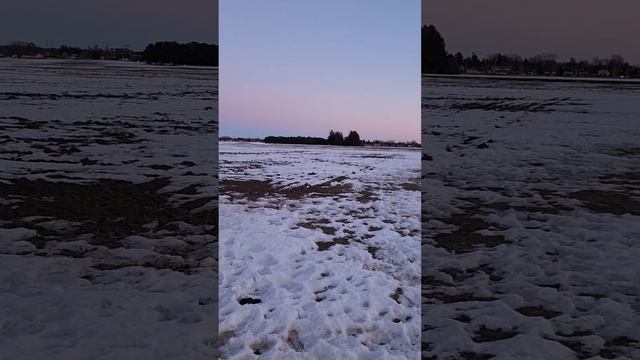 На заре ты меня не буди....... (Don't wake me up at dawn))))(English subtitles)