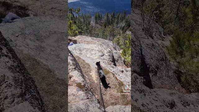 Некуда бежать ... ))) (Still from the film)))  (English subtitles)