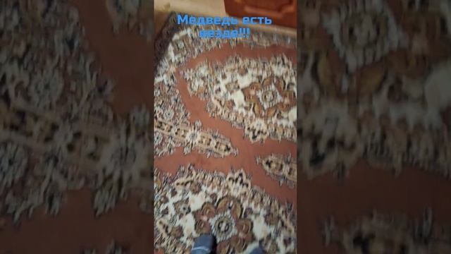 Медведь есть везде!!! #юмор#прикол#медведь.