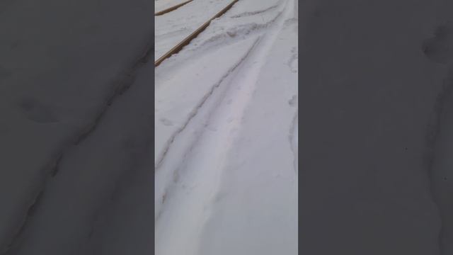 Прогулка по кбжд 29 декабря 2024