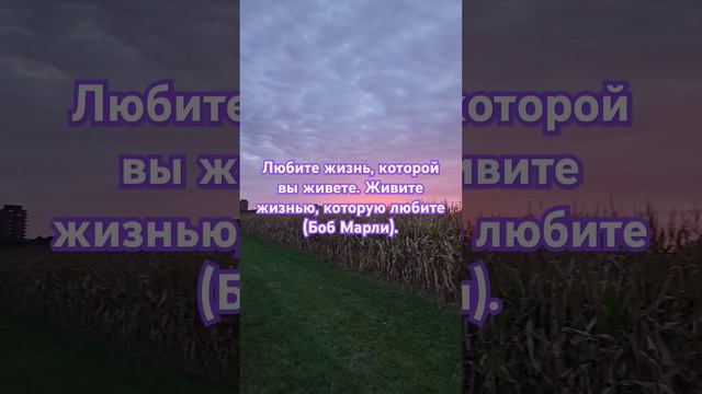 Love the life you live. Live a life you love (Bob Marley).