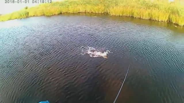 Рыбалка с катера _Москва-2_! (Мелководный режим.).mp4