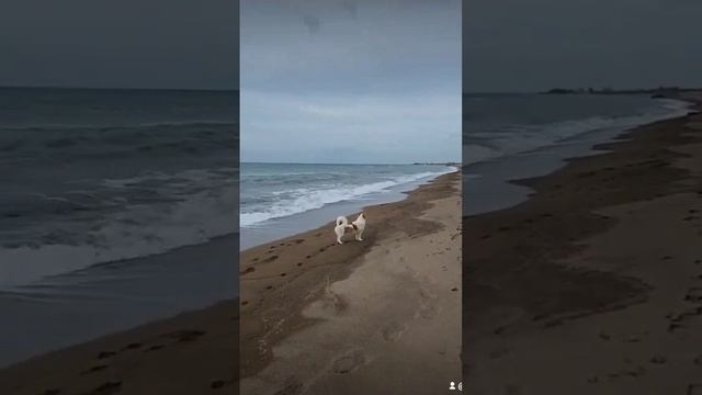 Оставайся хорошим !(Stay good!) Турция, ноябрь 2023