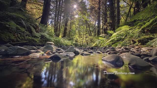 Journey - Путешествие к сердцу земли