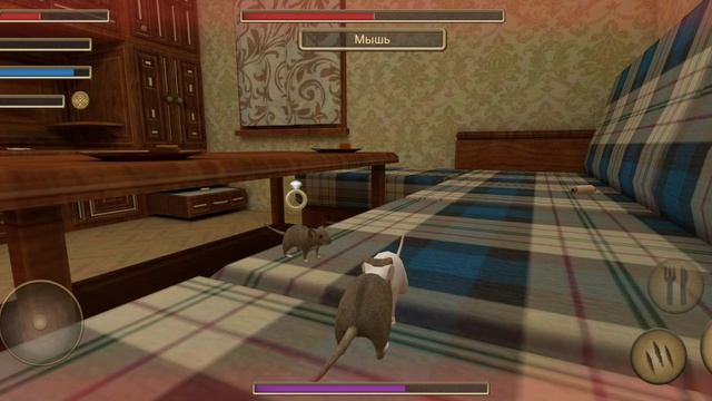 симулятор мыши 5 серия дома у кошки