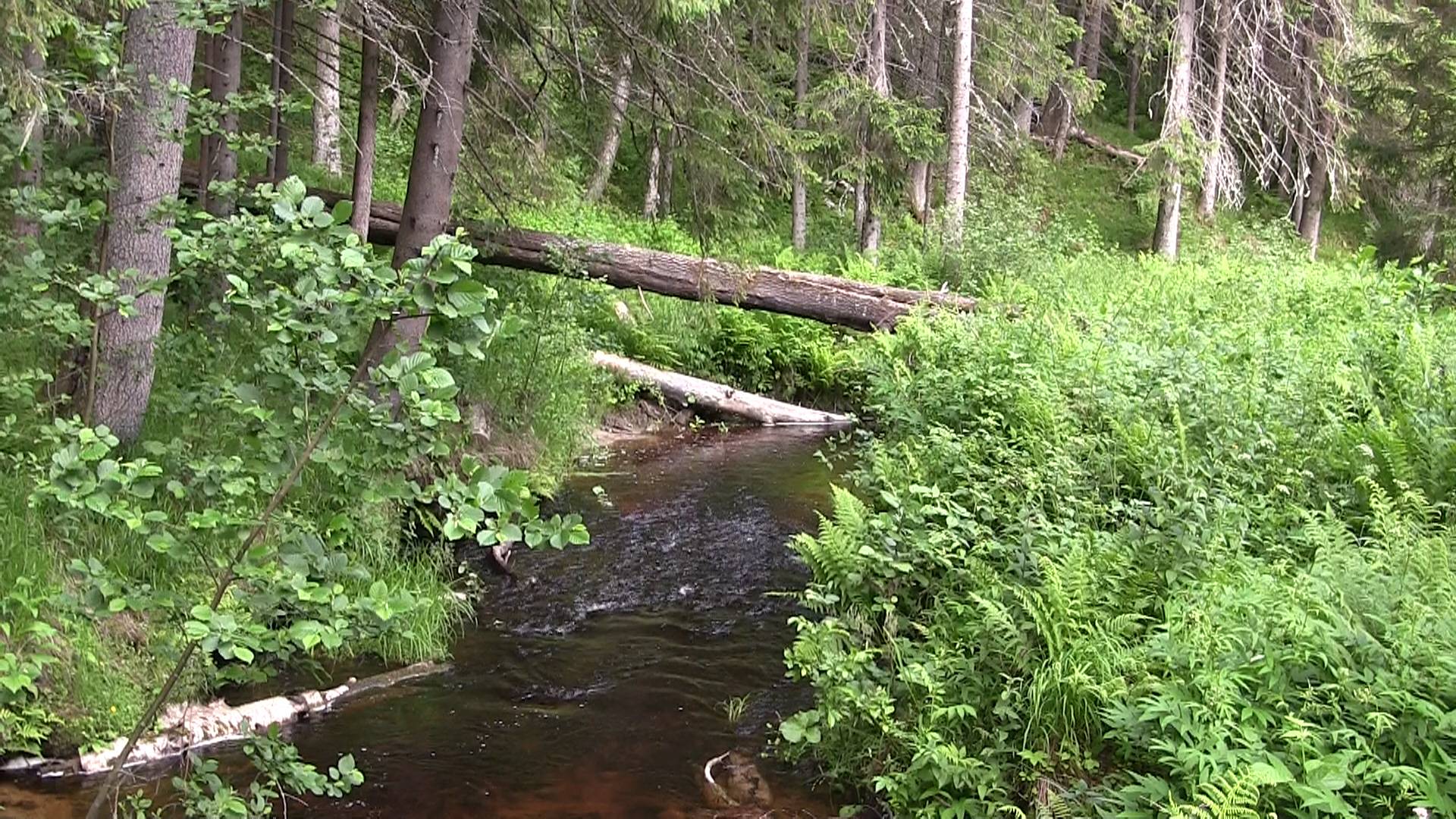 долина водопадов близ лумиваара.movie