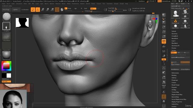 18. Skin Pores --& Likeness part 2