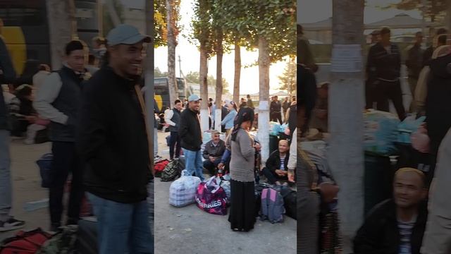 Автобус в Узбекистан