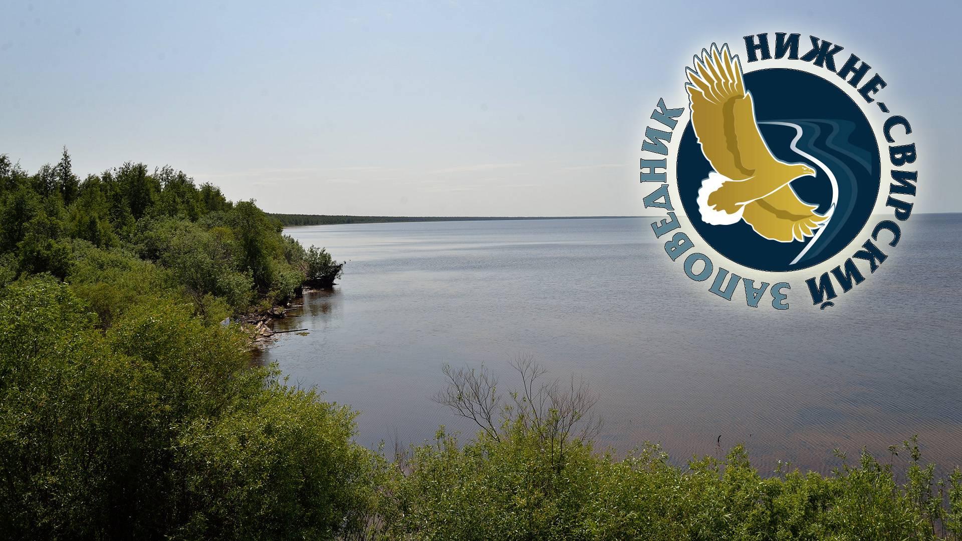 «Мир заповедной природы». Нижне-Свирский заповедник. Официальная видеопрезентация.