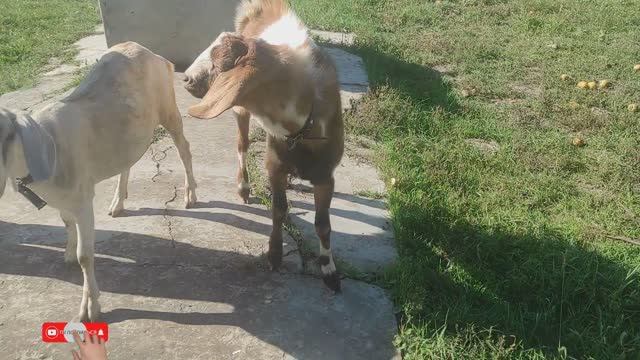 Самый дешевый дом на юге уже ждет вас: успейте стать его владельцем