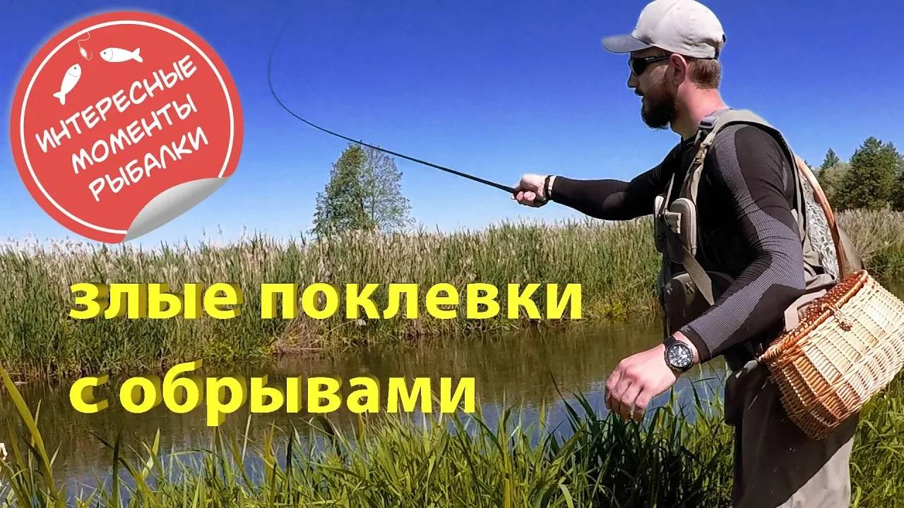 Злые поклевки с обрывами поводков. Ищем крупных ельцов.