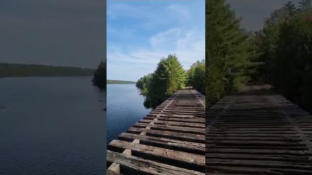 Always be ready to survive alone...