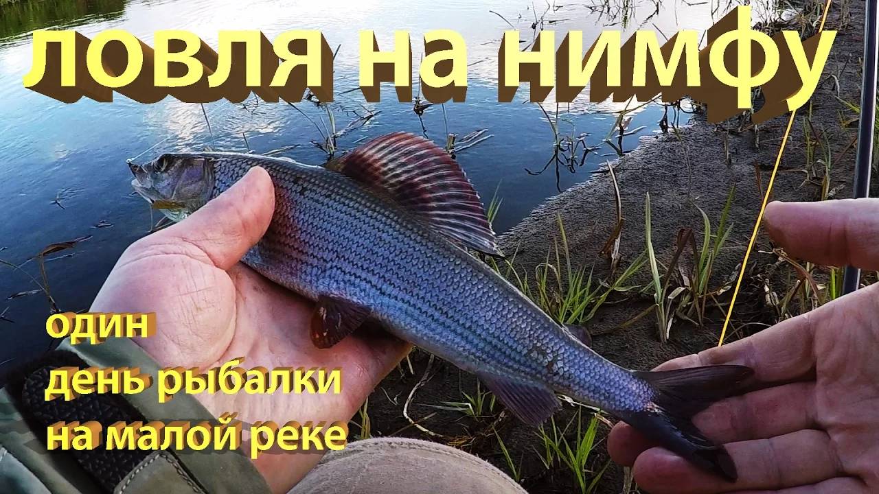 Рыбалка на малой реке на нимфы. Первая форель на сухую мушку этого года!!!