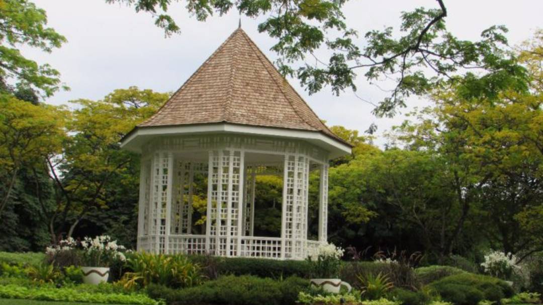 Прогулка по паркам Сингапура