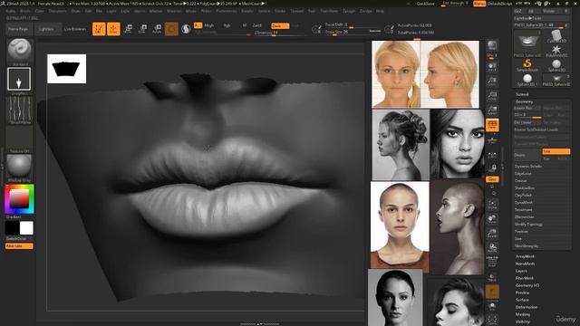 17. Skin Pores --& Likeness part 1