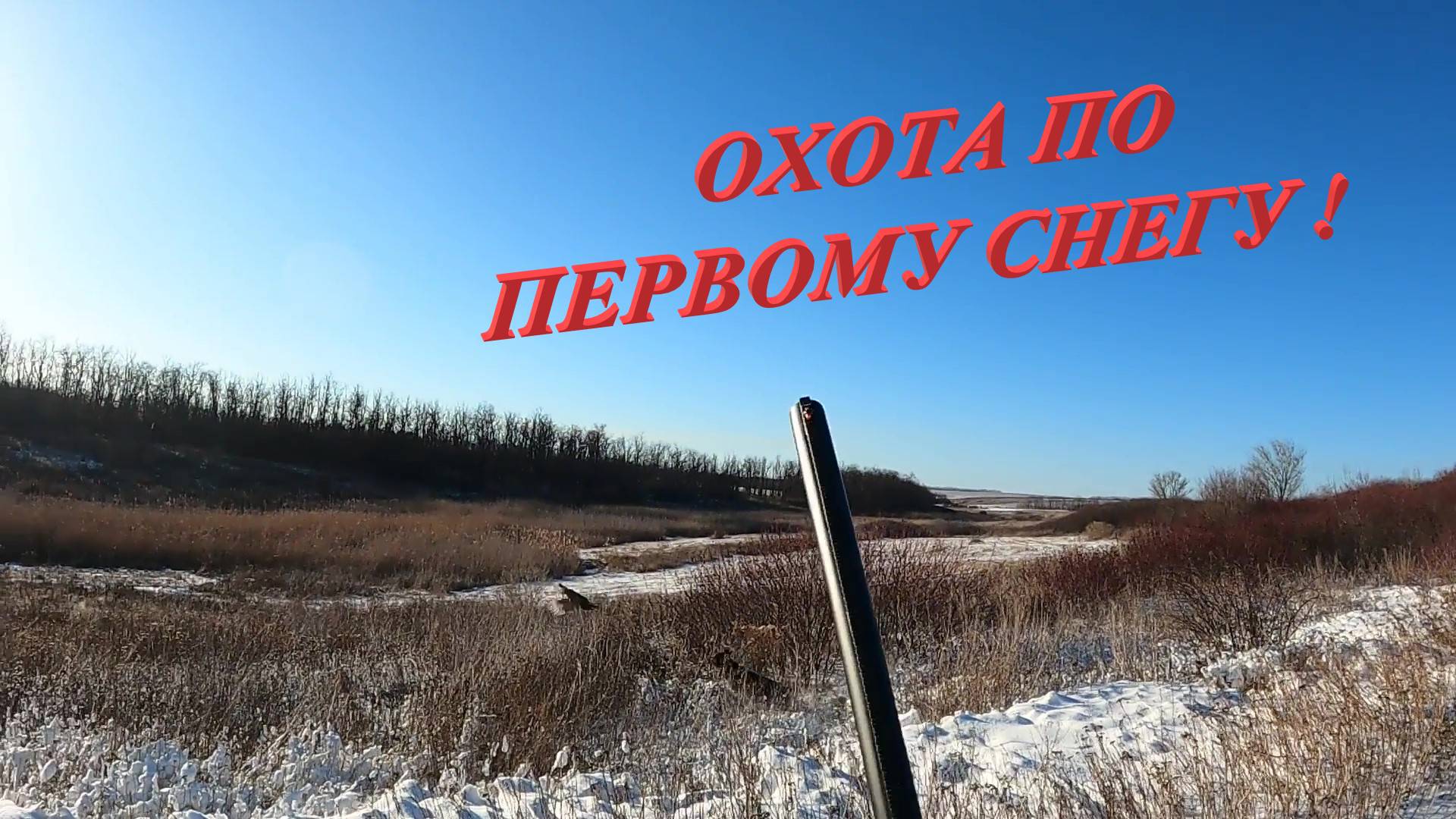 ФАЗАН ОХОТА...