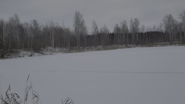 СНТ4 Красноармейский Район