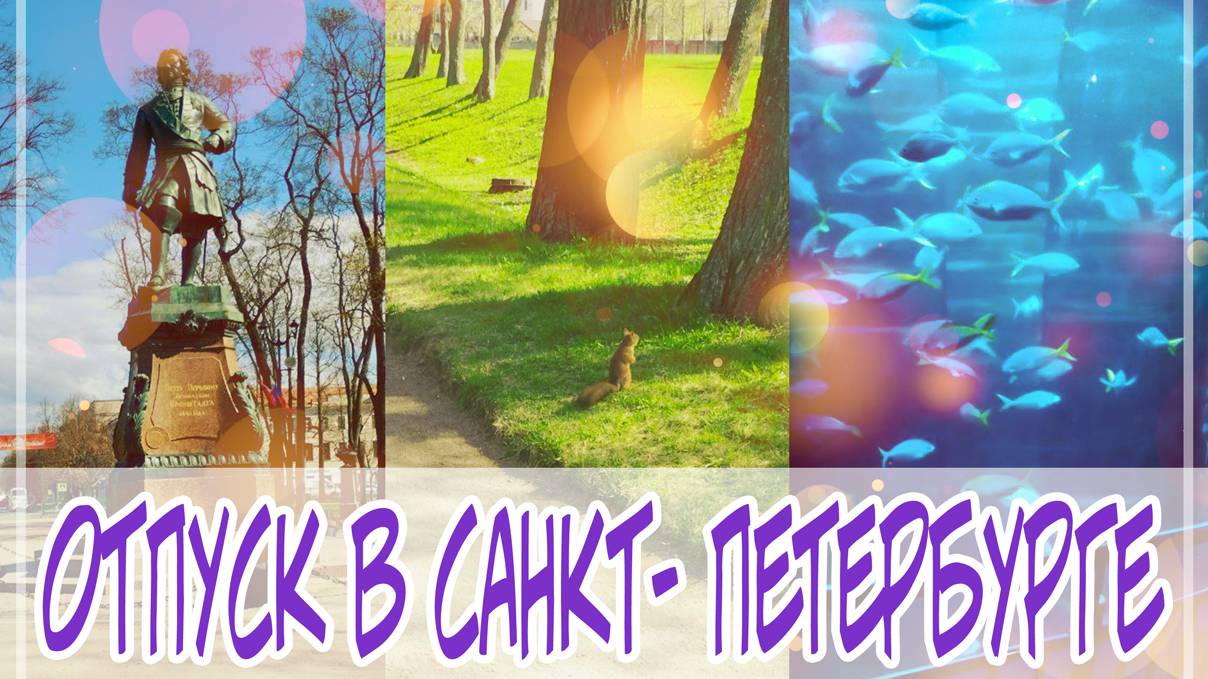 Влог. Отпуск в Питере в 2023 году