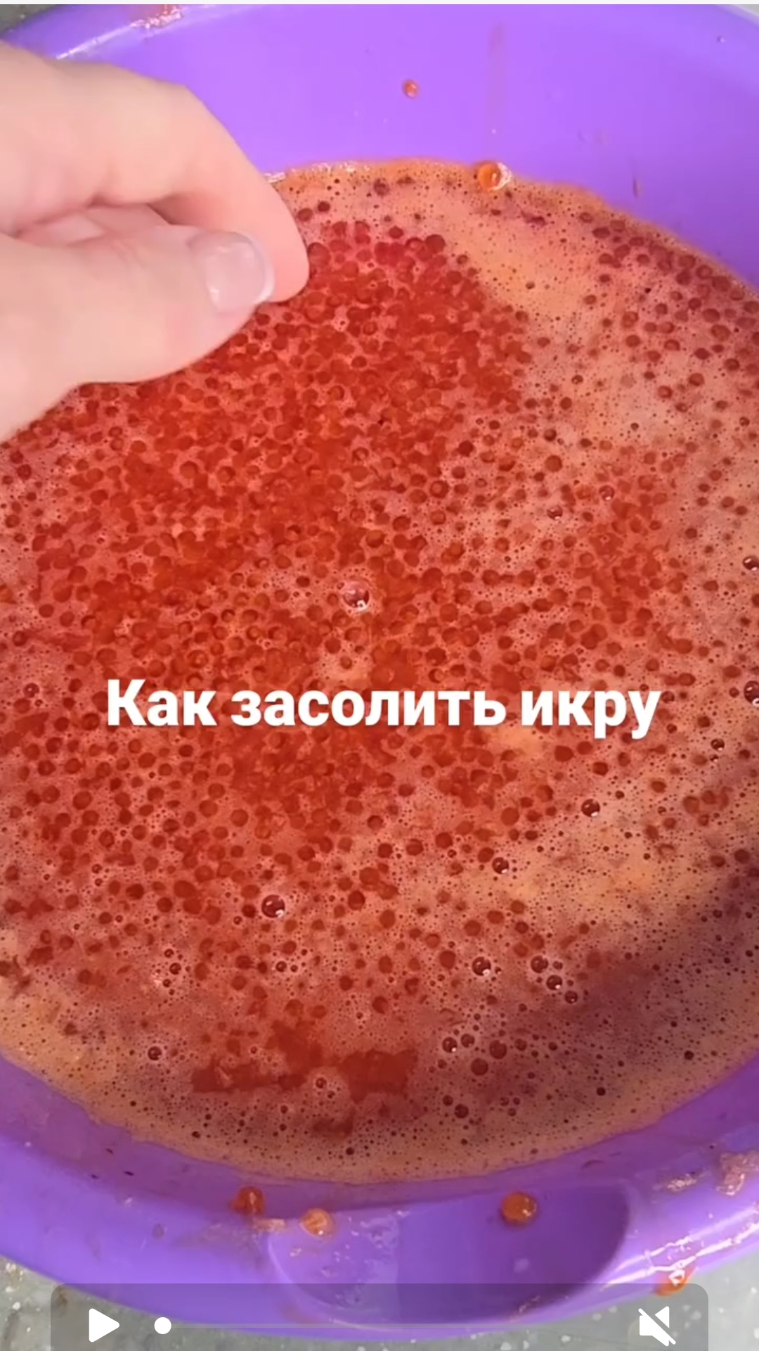 Нам попалась икряная форель и вот как мы солили её икру.