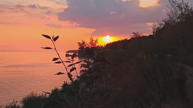 Пляж ТОЛЬЯТТИ / Баныкинский лес / Обрыв / Мидийное место