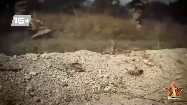 Региональные итоговые новости 29.12.24