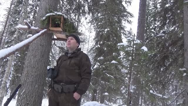 Проверка капканов на куницу _ Изба _ Куница