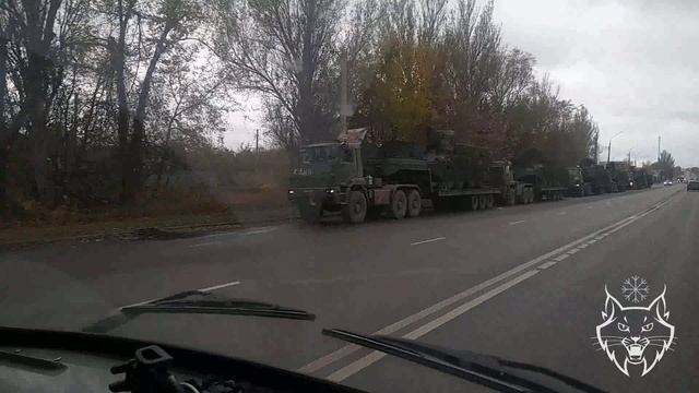 Что можно встретить на дорогах