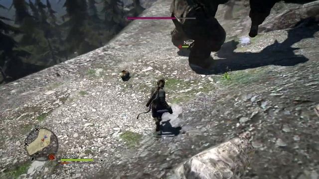 Dragon's Dogma: Dark Arisen. #13