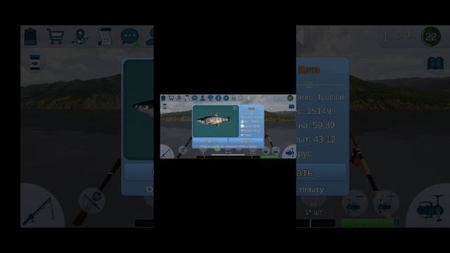 КЕТА ТРОФЕЙ НА ОХОТСКОМ МОРЕ В РЕАЛЬНАЯ РЫБАЛКА 2