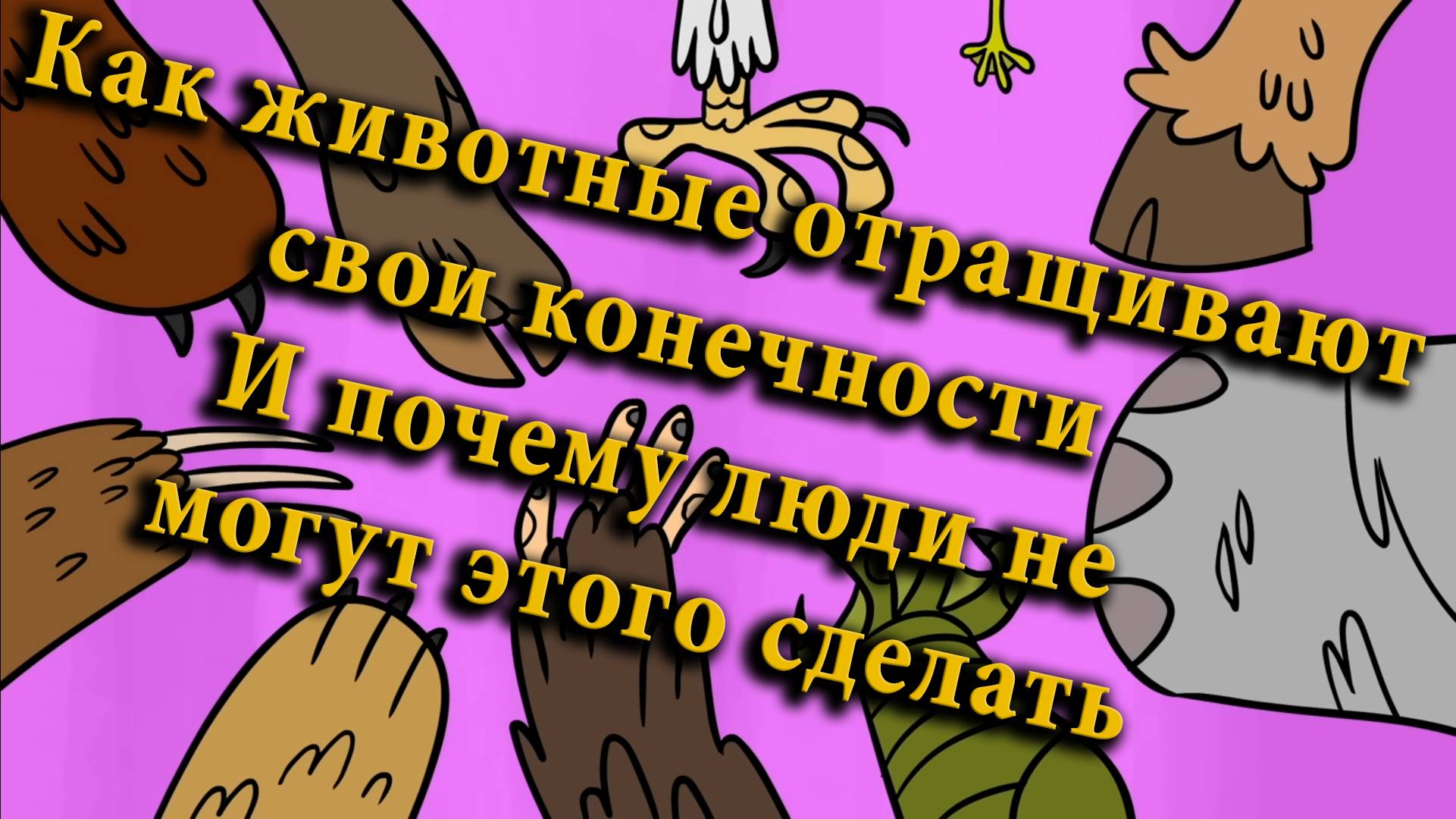 Как животные отращивают свои конечности? И почему люди не могут этого сделать?