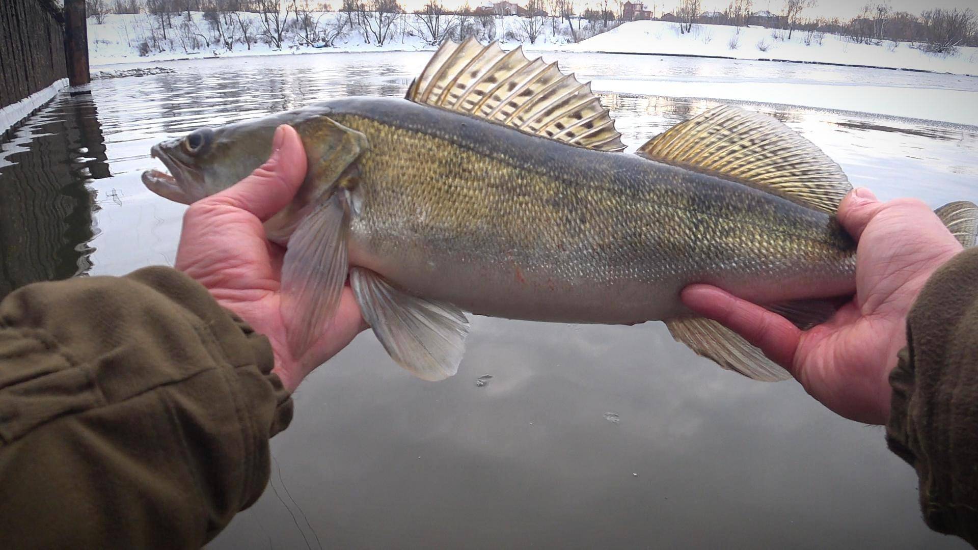 Рыбалка не в Мандулу.