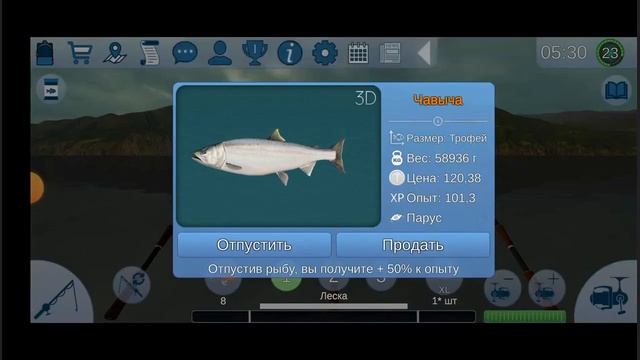 ЧАВЫЧА | КАК ПОЙМАТЬ НА ОХОТСКОМ МОРЕ В РЕАЛЬНАЯ РЫБАЛКА 2