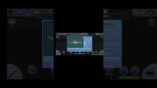 НАВАГА ТРОФЕЙ НА ОХОТСКОМ МОРЕ В РЕАЛЬНАЯ РЫБАЛКА 2