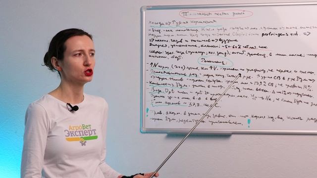 Тимпания у телят зимой