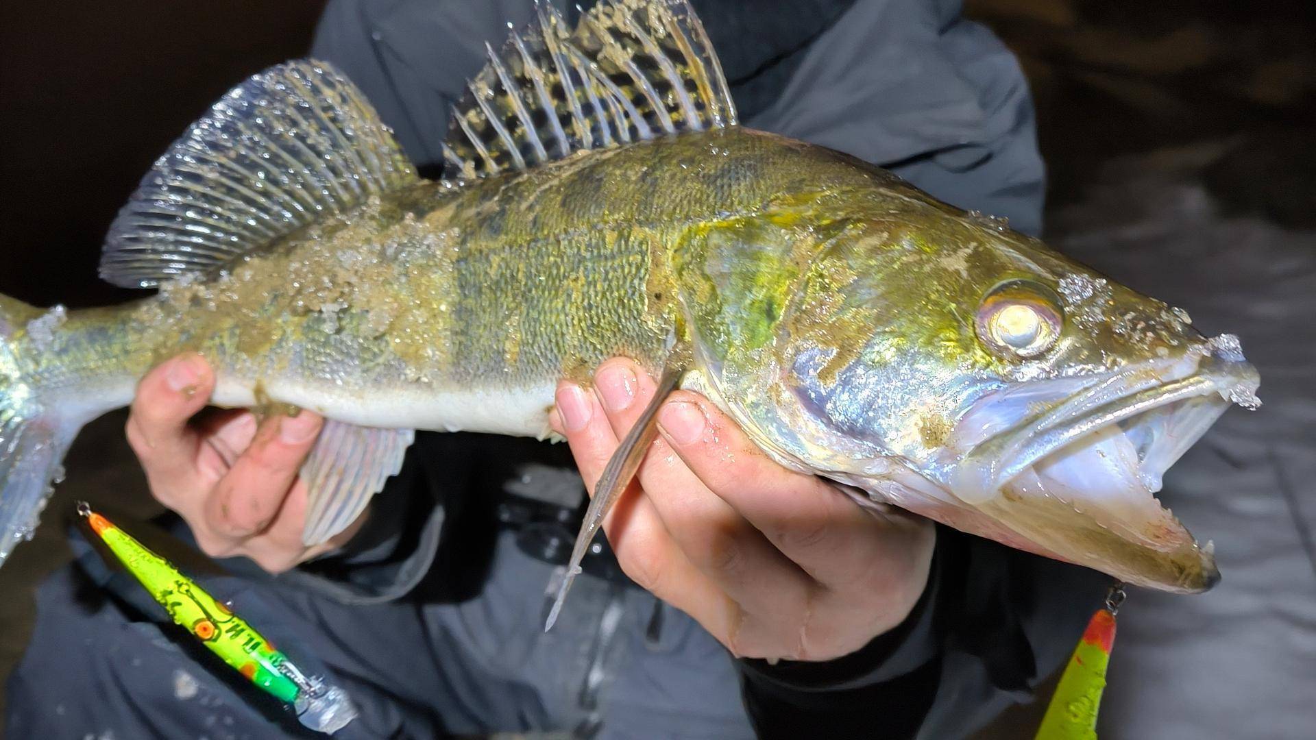 На рыбалке. МОСКВА РЕКА. Ловля судака и щуки на Спец воблер перед запретом