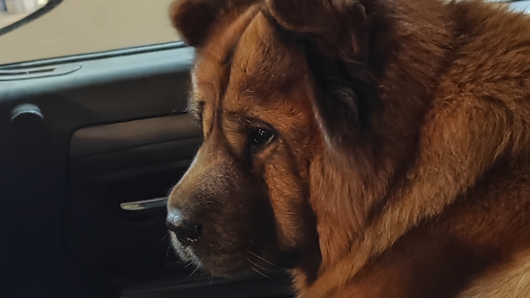 Хитропопая красотка