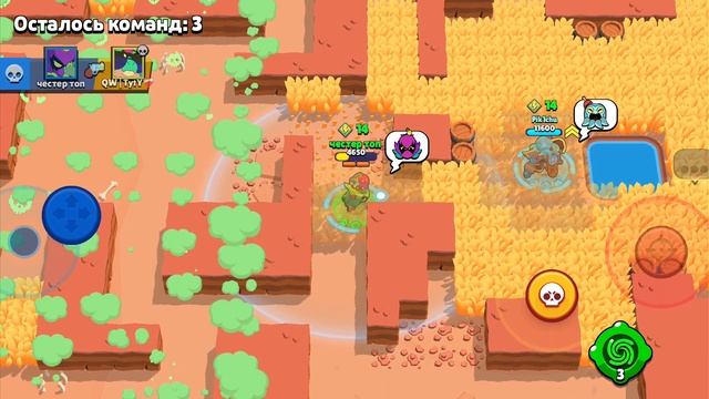 бравл старс ,мой акк, робзи заметь пж