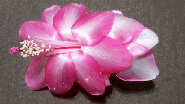 шлюмбергера THOR ZENIA