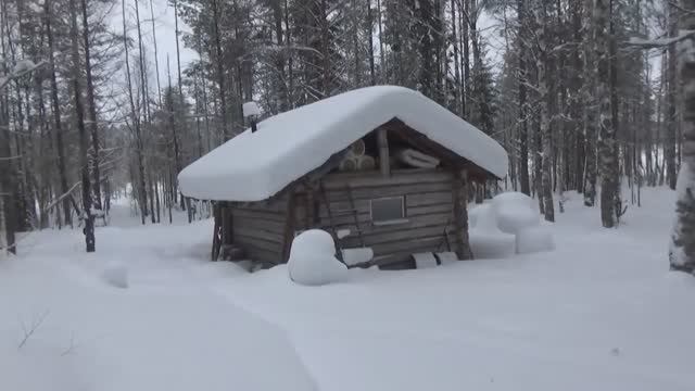 ОХОТА И РЫБАЛКА В ТАЙГЕ _ Охота на куницу капканами _ Жерлицы на налима и щук _ Таежный быт