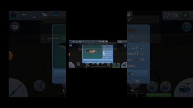 КЕТА ТРОФЕЙ НА ОХОТСКОМ МОРЕ В РЕАЛЬНАЯ РЫБАЛКА 2