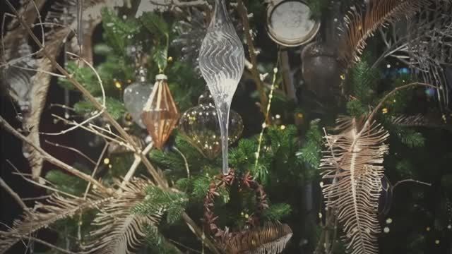 Русские Сезоны. Осень 2024. Московские звёзды, СК 7,62. Всероссийское соревнование