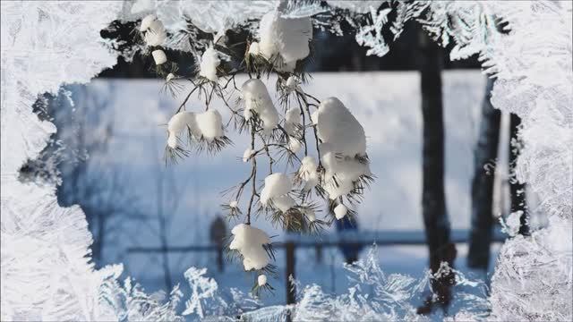 Русские Сезоны. Зима 2024. Мороз и солнце. Пистолет, КПк
