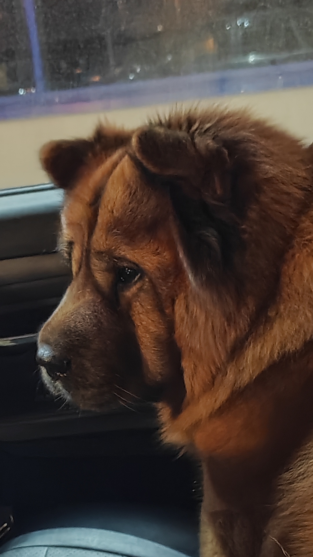 приехала красотка хитропопая