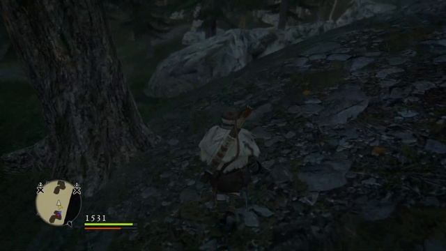 Dragon's Dogma: Dark Arisen. #16