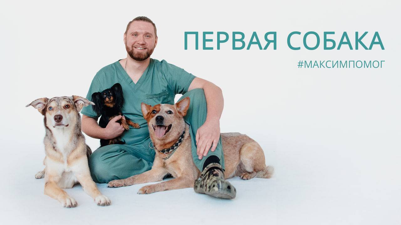 На что обратить внимание при выборе собаки?/Особенности разных пород