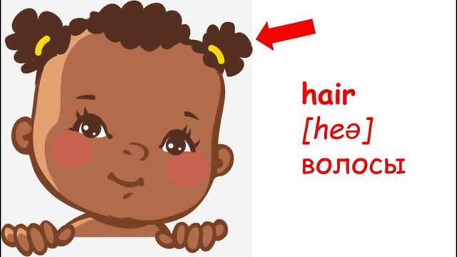 Все части тела человека на английском_ All body parts in English