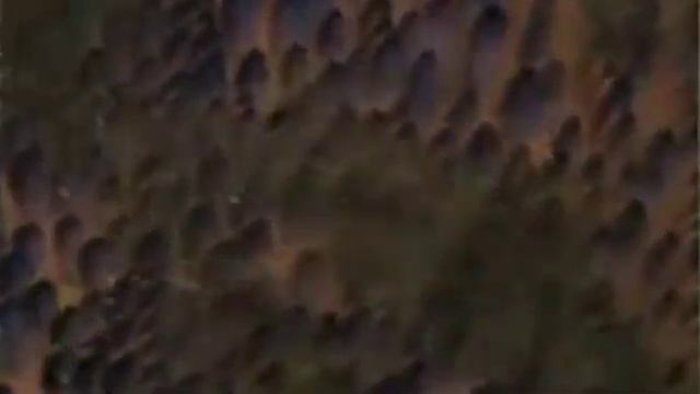 Кишечный лаваж