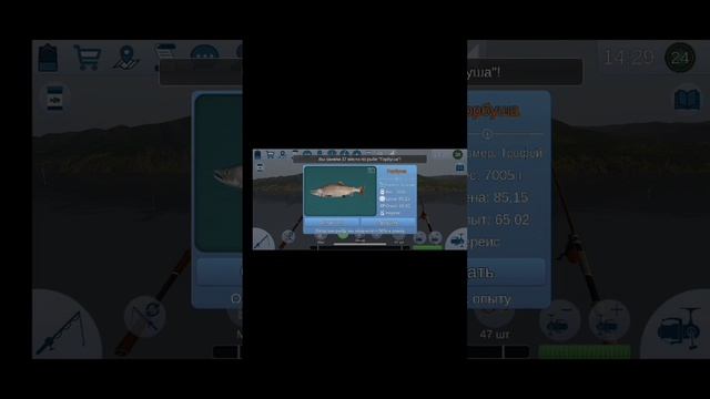 ГОРБУША ТРОФЕЙ НА ОХОТСКОМ МОРЕ В РЕАЛЬНАЯ РЫБАЛКА 2