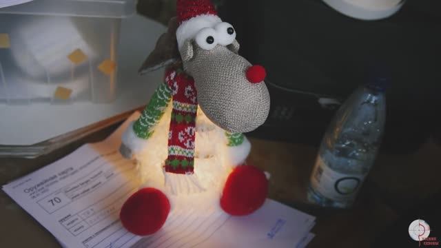 РУССКИЕ СЕЗОНЫ. ЗИМА 2022. НОВОГОДНЕЕ ПРИКЛЮЧЕНИЕ